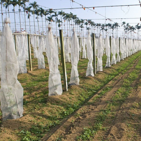 UV Protected Bags and Sheets | Dhanshri Polypack